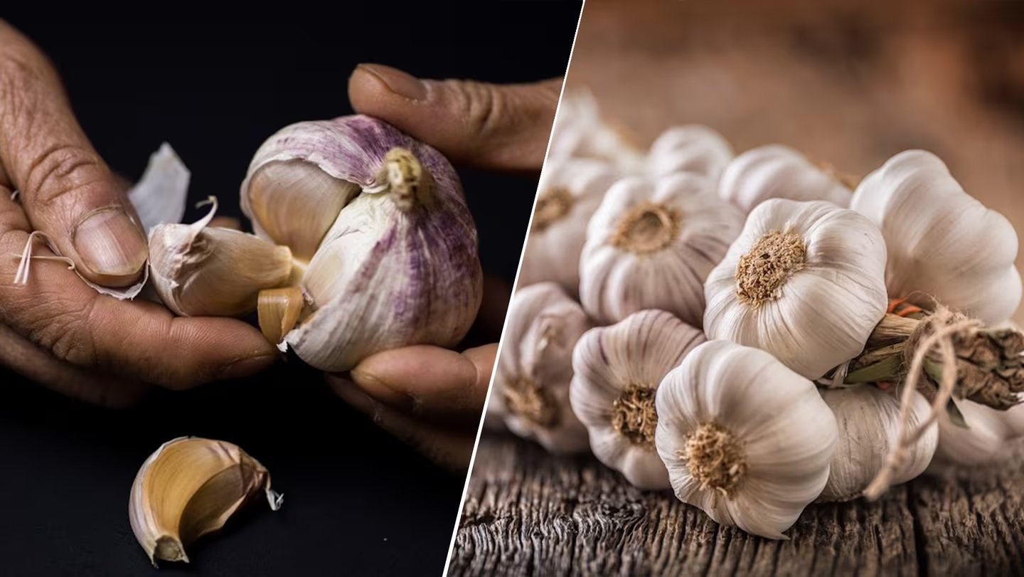 Conoce los beneficios de comer ajo crudo todos los días